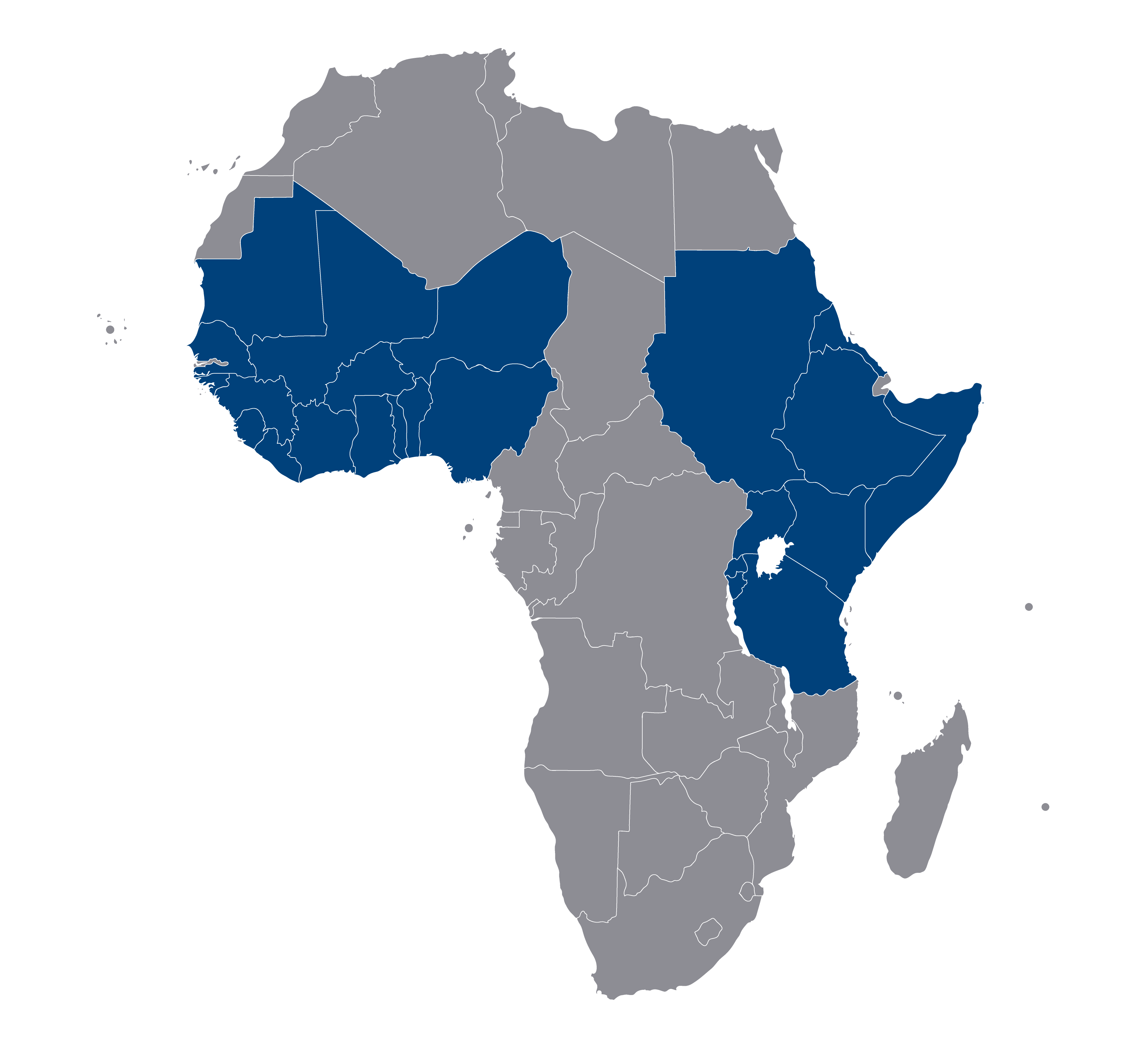 Evidence Leaders in Africa (ELA) - African Institute for Development ...