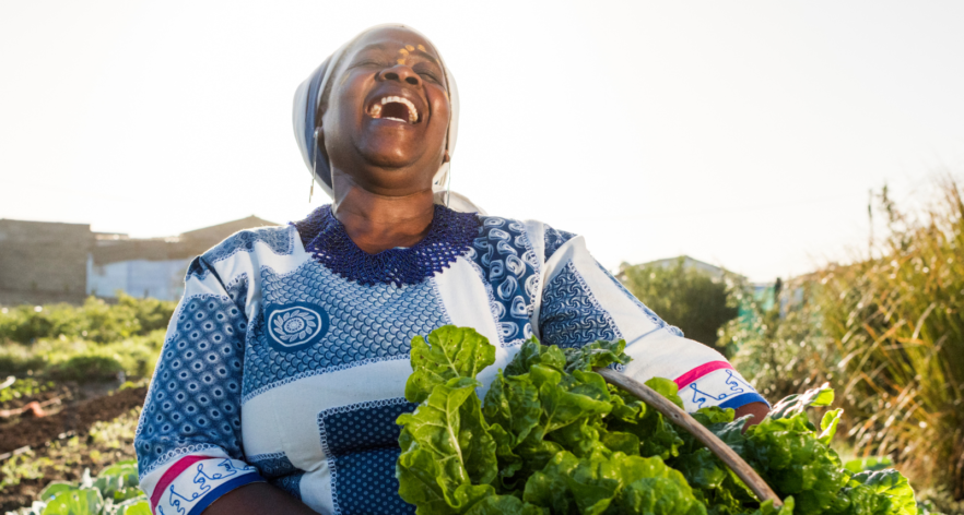 Home - African Institute for Development Policy - AFIDEP